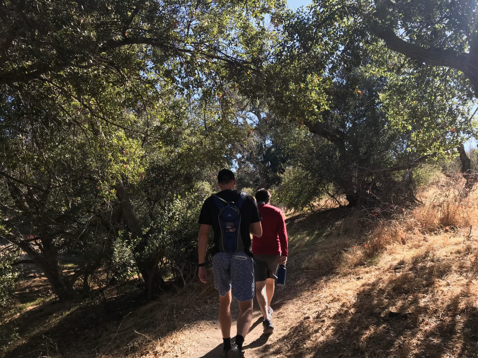 Local's Guide: Hiking Eagle Rock - Go Hiking San Diego