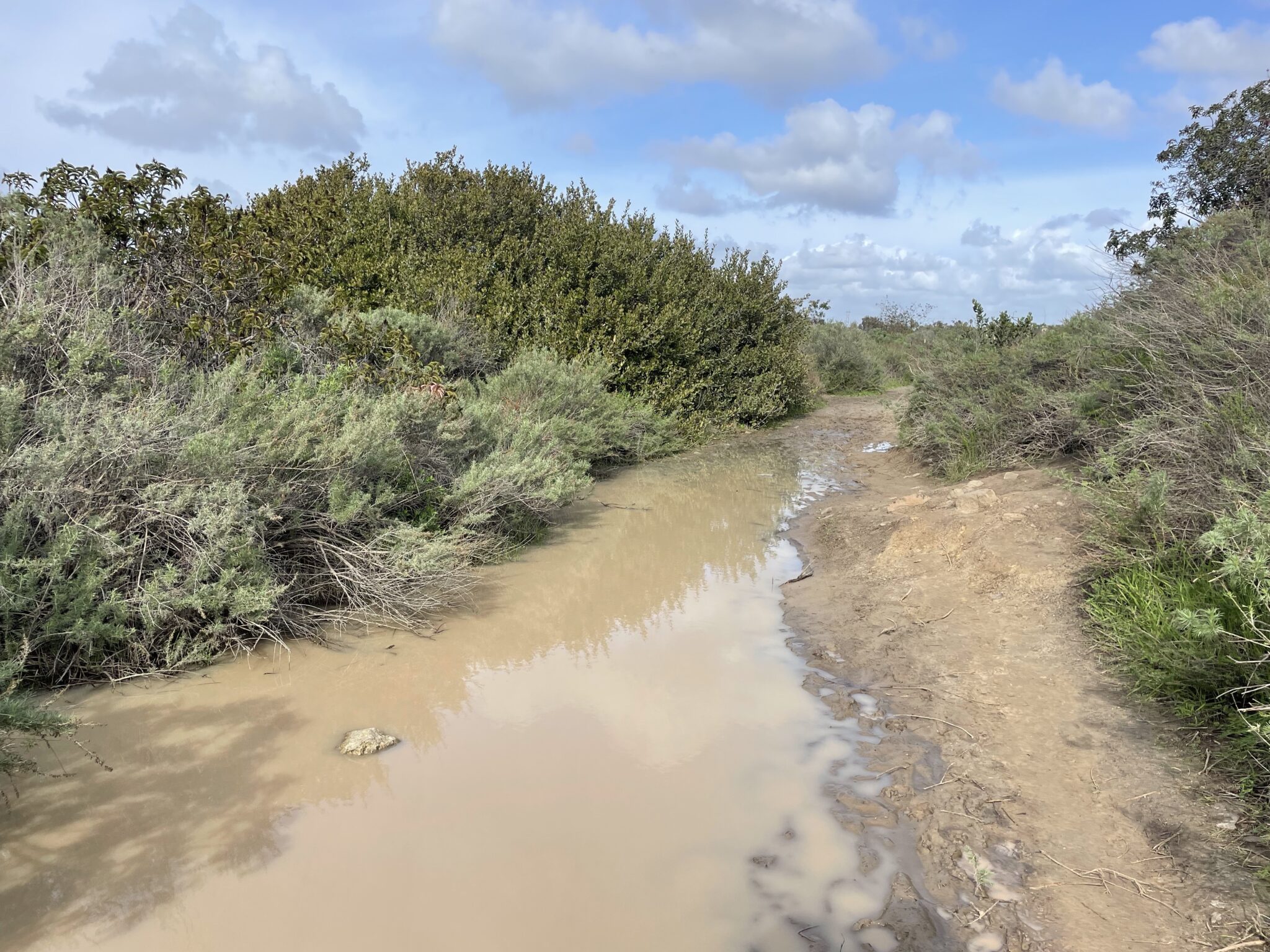 Lake Calavera Hiking Trail - Go Hiking San Diego