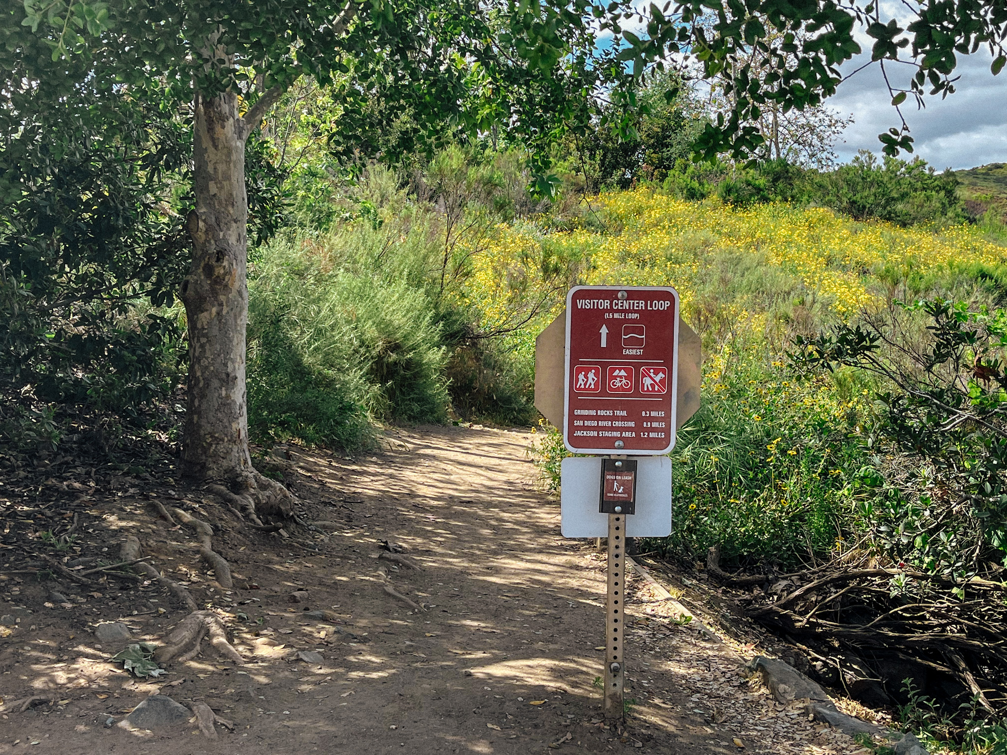 Hike Mission Trails Visitor Center Loop - Go Hiking San Diego